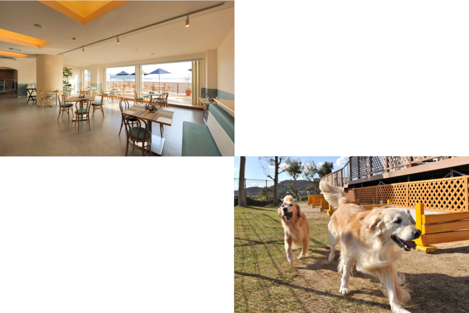 【浜名湖観光 奥浜名湖編】浜名湖地域の犬同伴可能なホテル・宿特集 | 浜松わんこ旅｜浜松・浜名湖だいすきネット